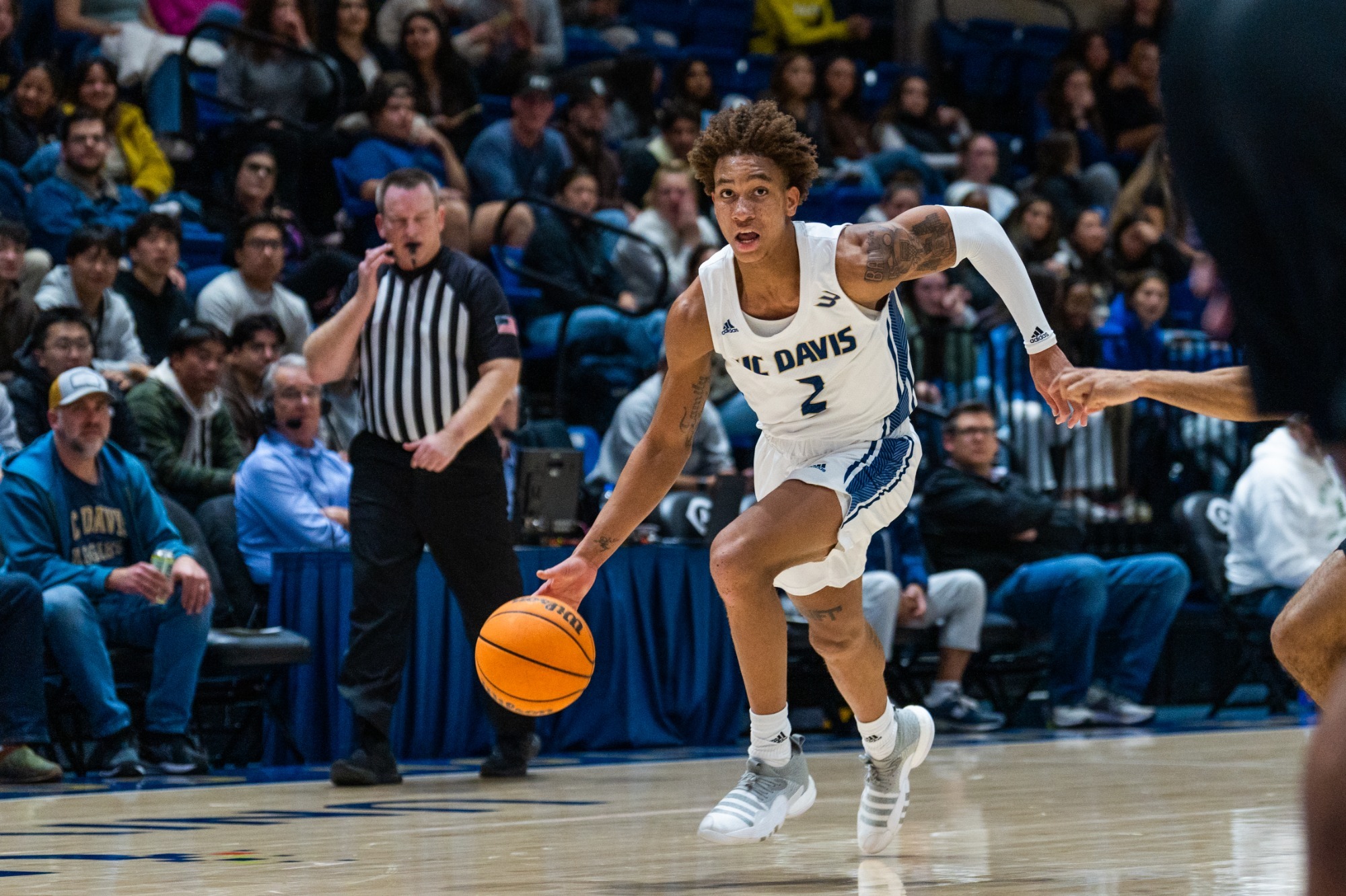 Contender Close-ups: Big West Part 2 - College Hoops Top 50